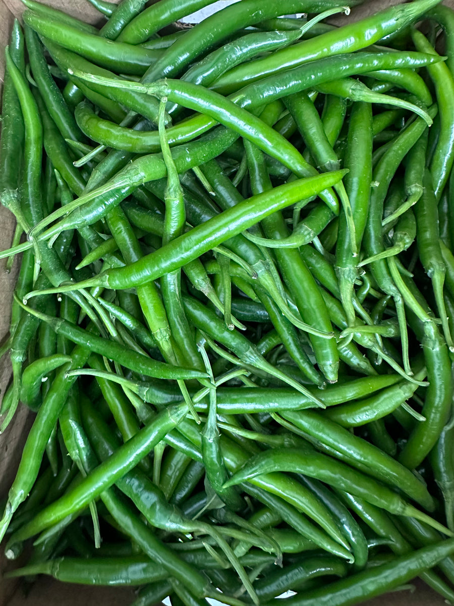 Fresh Green Chilli (අමුමිරිස්/பச்சை மிளகாய்) - 1-LB – LakFood