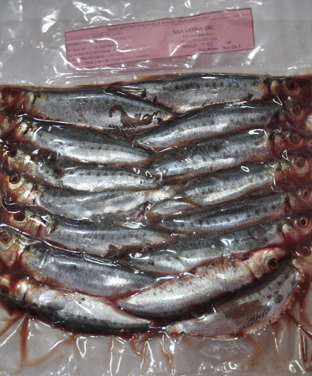 Fresh Sri Lankan Hurulla Fish - 2LB – LakFood