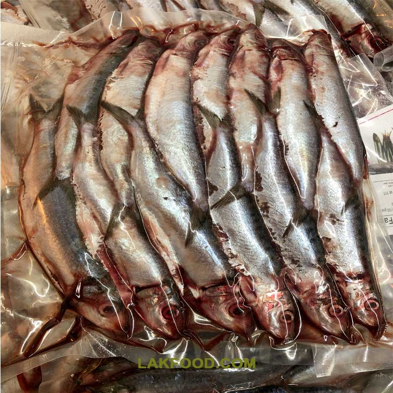 Fresh Sri Lankan Hurulla Fish - 2LB – LakFood
